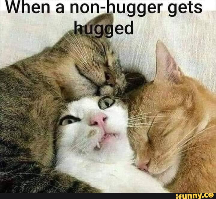 Hugger Memes Juvenile Redefining What It Means To Be A Tree Hugger