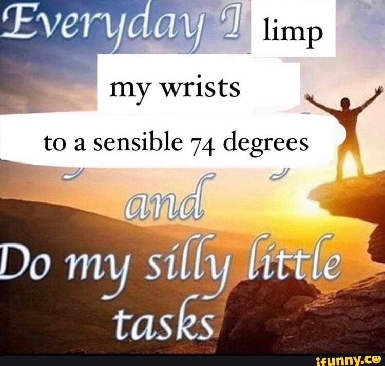 Limp eryday my wrists to a sensible 74 degrees Do my silly - iFunny