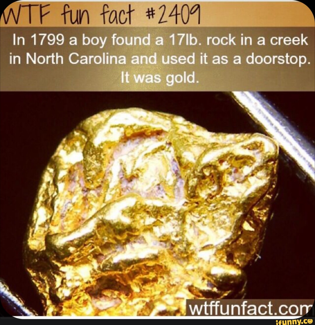 Ntf memes. Best Collection of funny Ntf pictures on iFunny