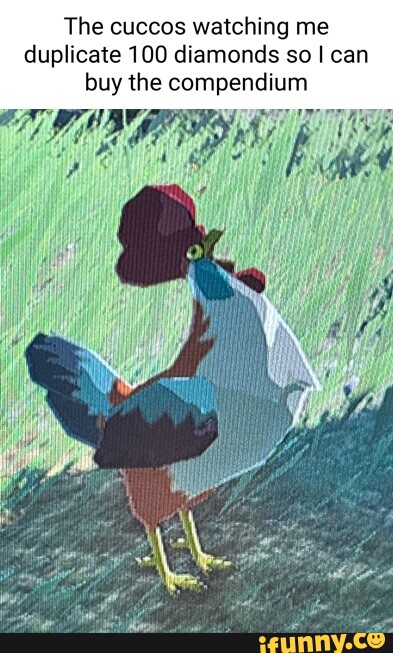 Cuccos memes. Best Collection of funny Cuccos pictures on iFunny