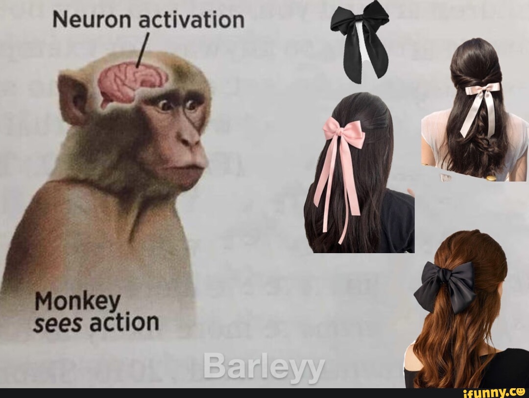 Neuron activation Monkey sees action - iFunny