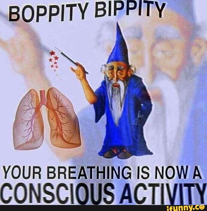 BOPPITY BIPPITY YOUR BREATHING IS NOW A CONSCIOUS ACTIVITY - iFunny