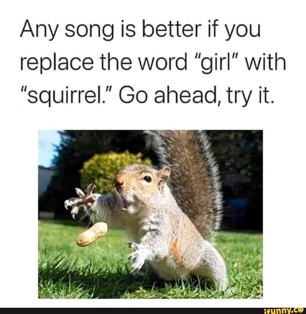 Any song is better if you replace the word "girl" with "squirrel." Go ...