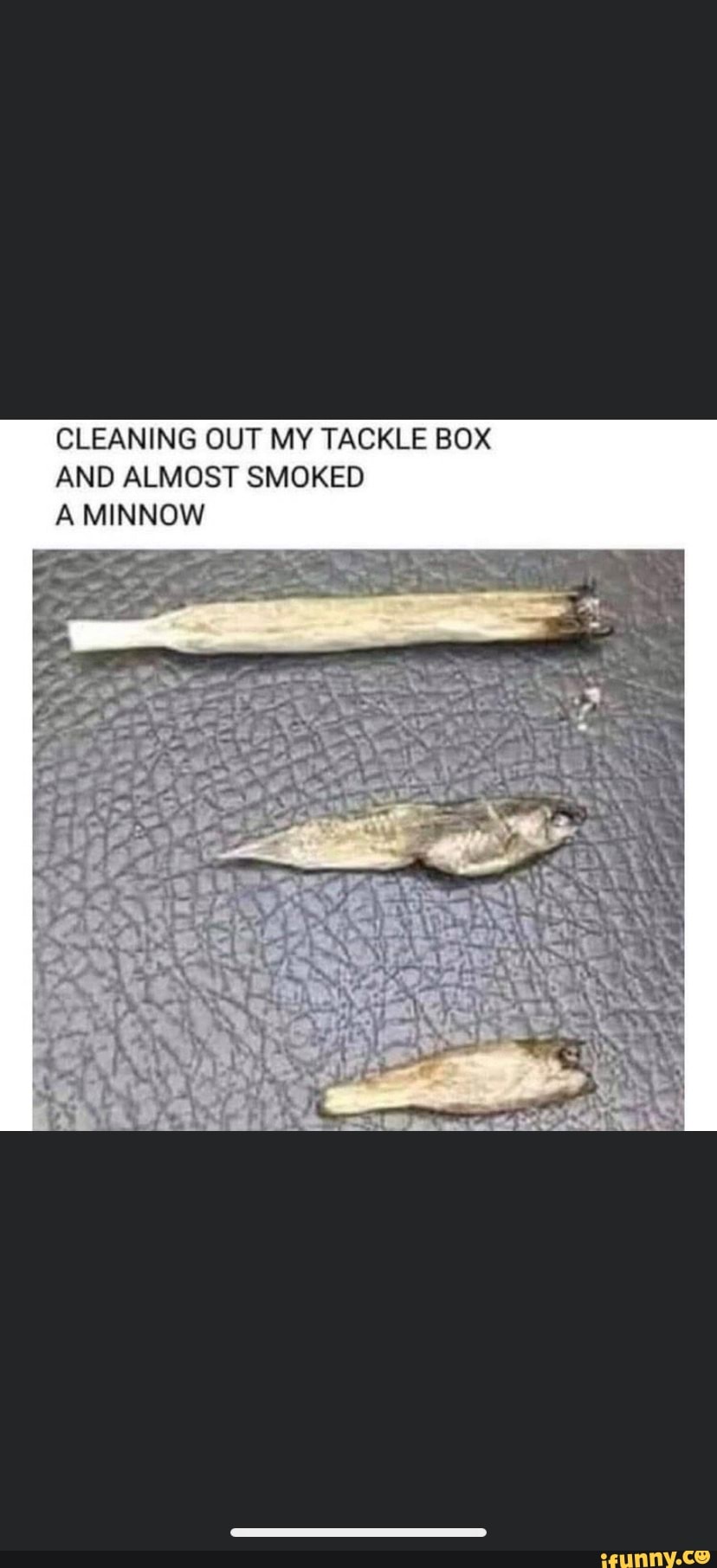 Minnow memes. Best Collection of funny Minnow pictures on iFunny