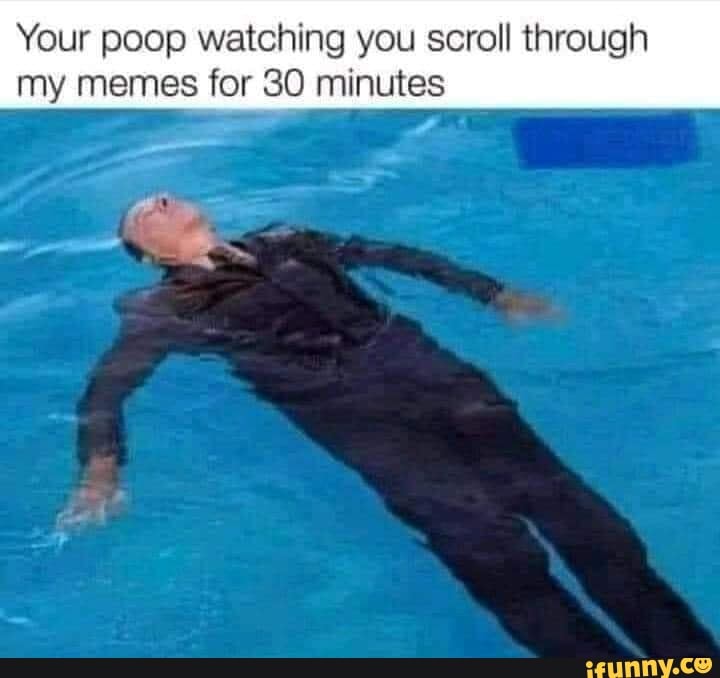Your poop watching you scroll through my memes for 30 minutes - iFunny