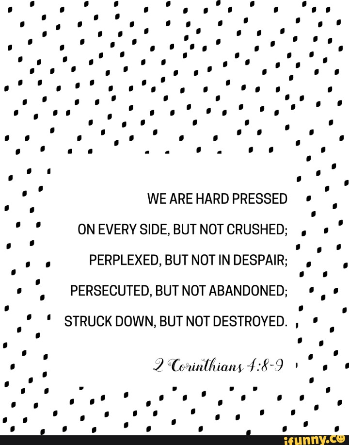 O Foo o a WE AREHARD PRESSED ON EVERY SIDE, BUT NOT CRUSHED; PERPLEXED ...