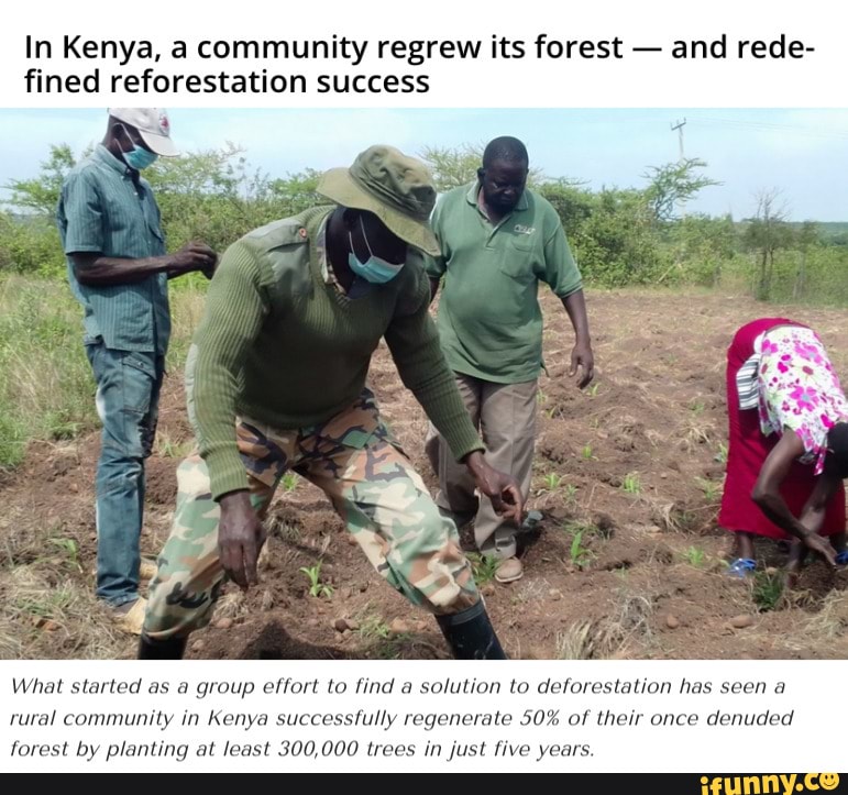 Reforestation memes. Best Collection of funny Reforestation pictures on ...