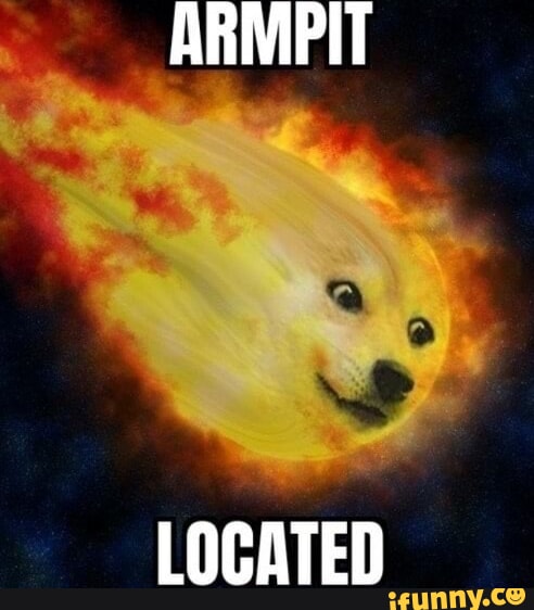 ARMPIT LOCATED - iFunny