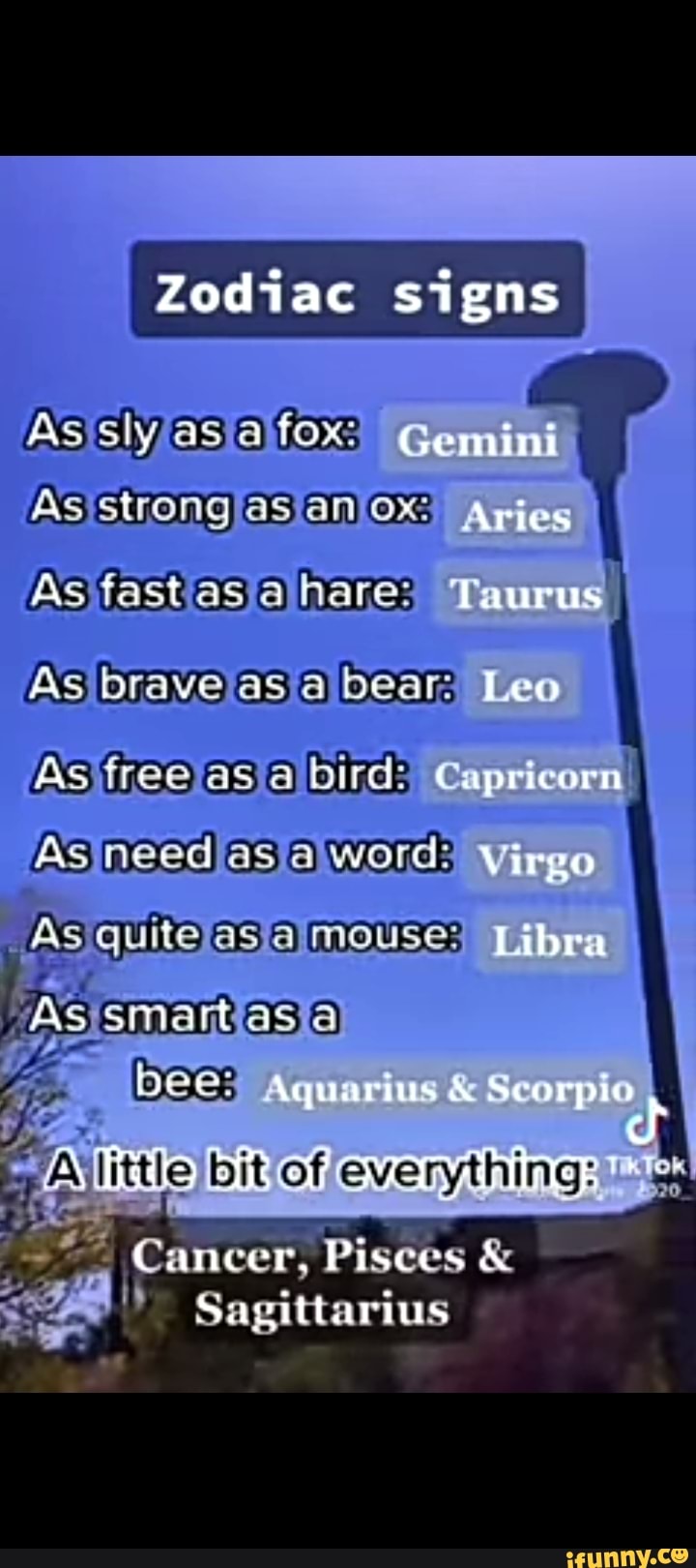 Zodiac signs As sly as Gemini OS Aries Leo As fastas at As brave as a ...