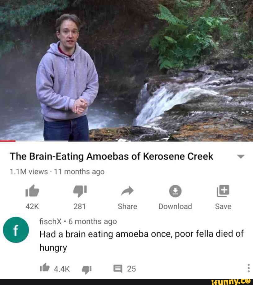 Amoebas memes. Best Collection of funny Amoebas pictures on iFunny