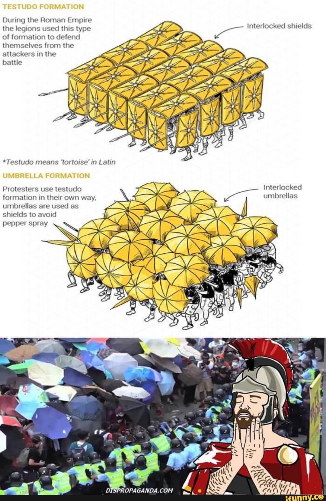 *Testudo means 'tortoise' in Latin Protesters use testudo formation in ...