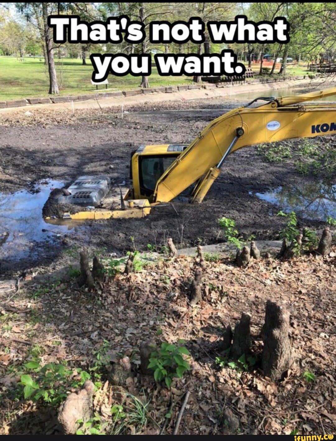 The Chad European hunter-gatherer cro magnon brow ridge The virgin ...