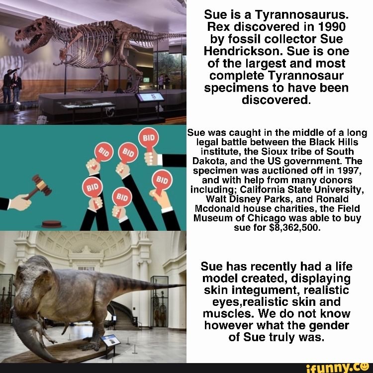 Sue is a Tyrannosaurus. Rex discovered in 1990 by fossil collector Sue ...