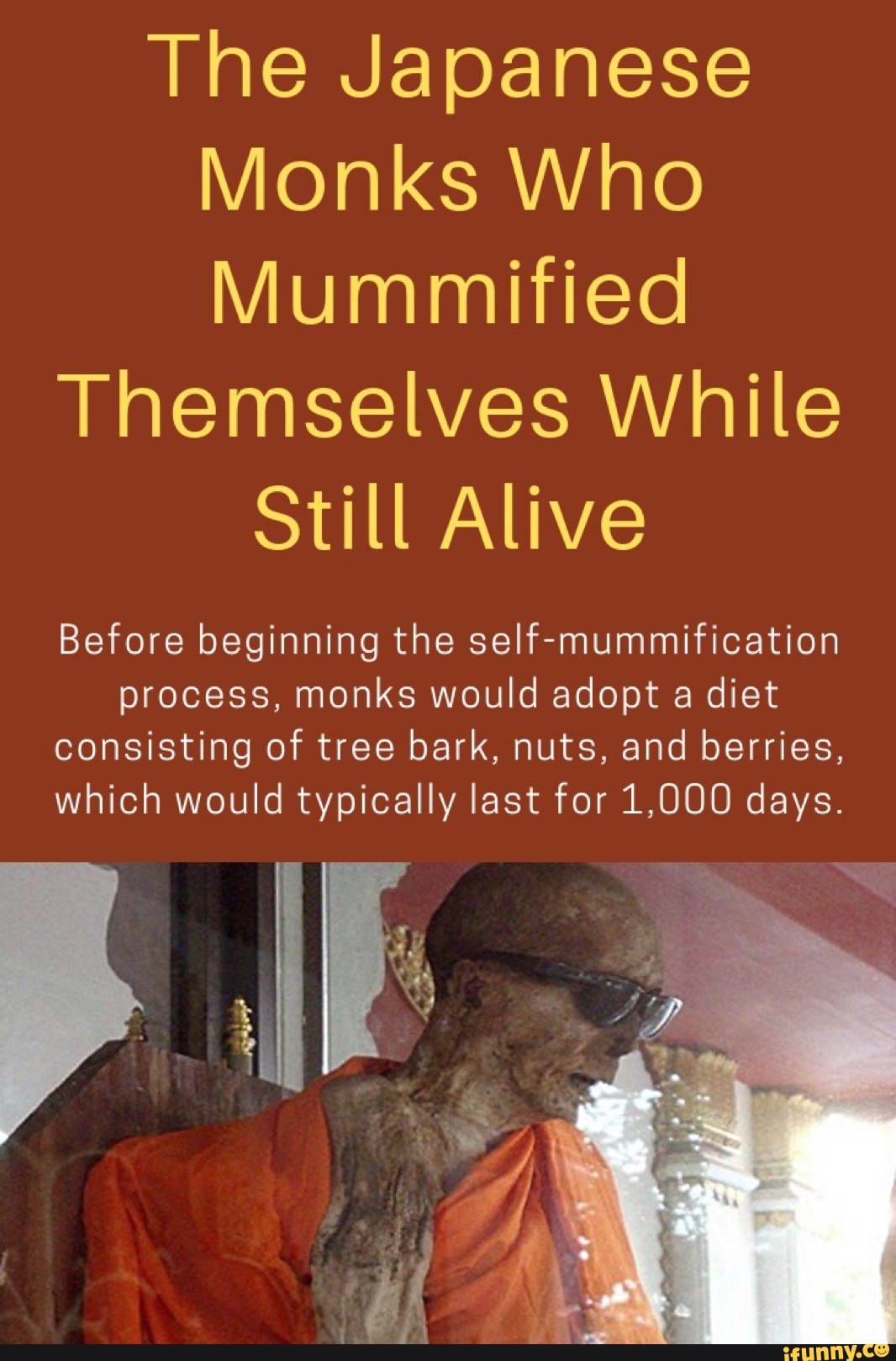 Selfmummification memes. Best Collection of funny Selfmummification ...