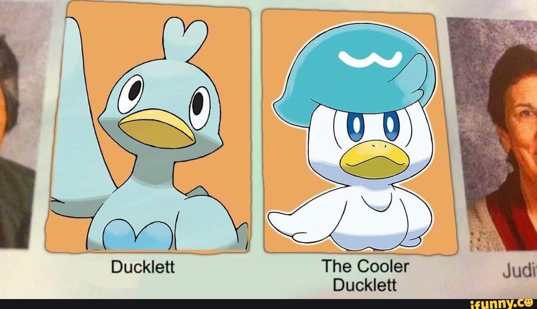 Ducklett memes. Best Collection of funny Ducklett pictures on iFunny