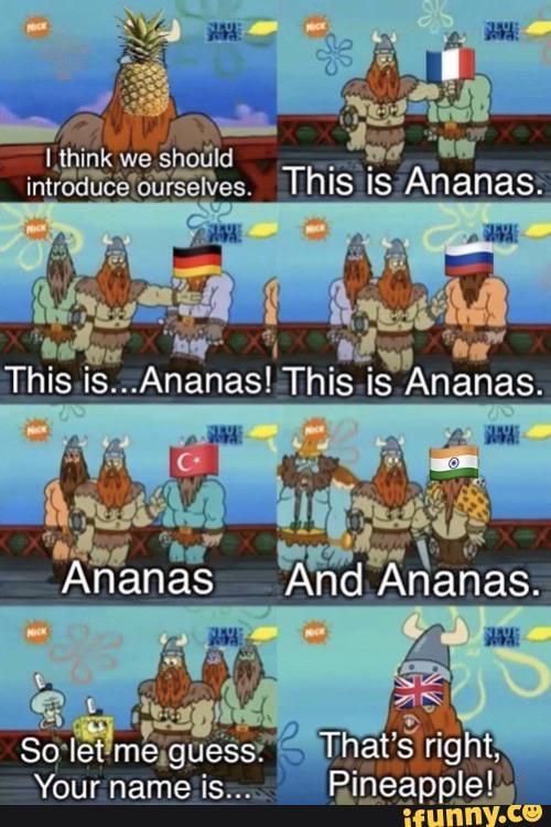 'think we should introducelourselves. This is Ananas: Ame 'ae' Ananas ...