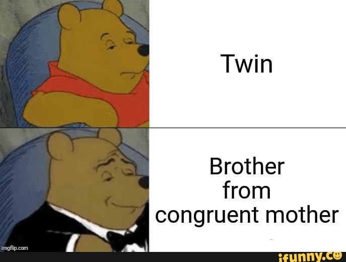 Twin Brother from congruent mother - iFunny