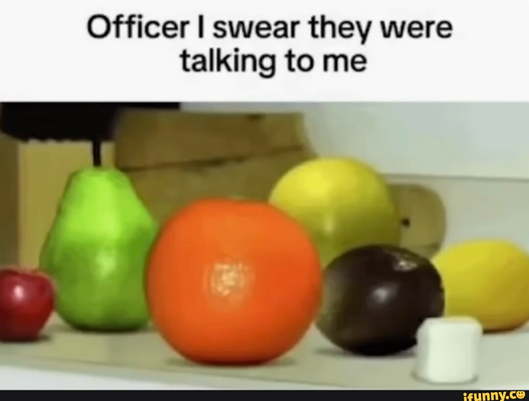 Officer I swear they were talking to me - iFunny