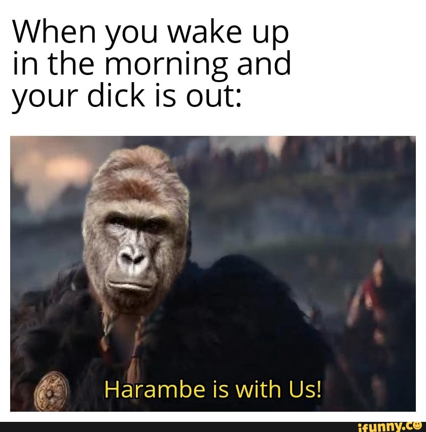 When you wake up in the morning and your dick is out: Harambe is with ...