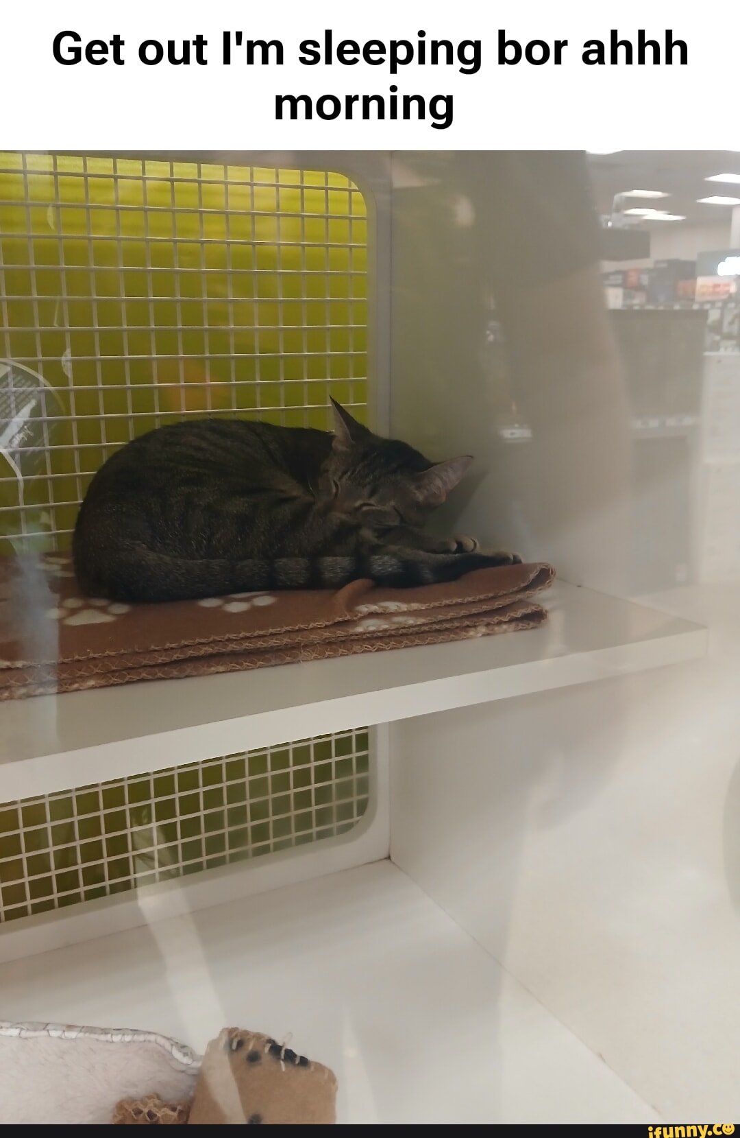 Ahhh memes. Best Collection of funny Ahhh pictures on iFunny