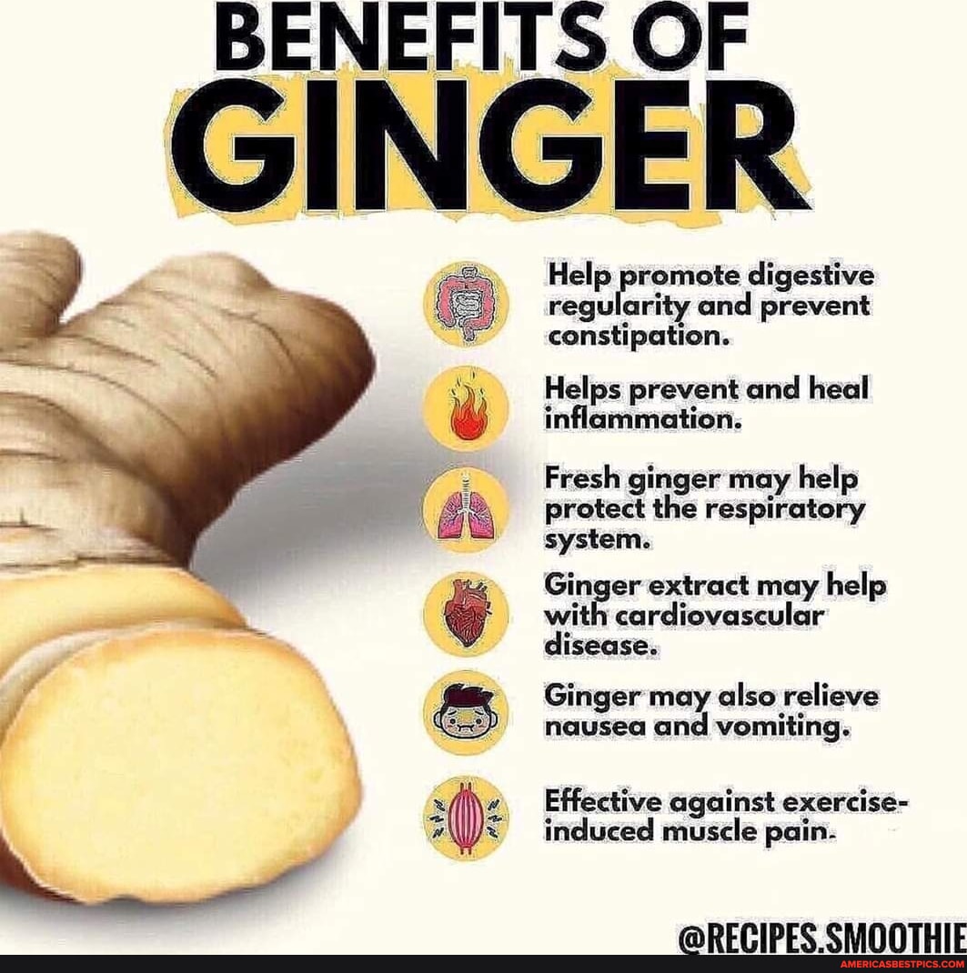 BENEFITS OF GINGER Help and digestive regularity and prevent constipation. Helps prevent and ...