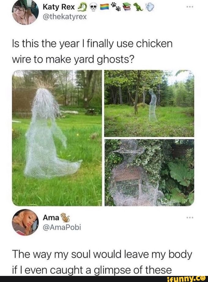 Katy Rex @thekatyrex Is this the year I finally use chicken wire to ...