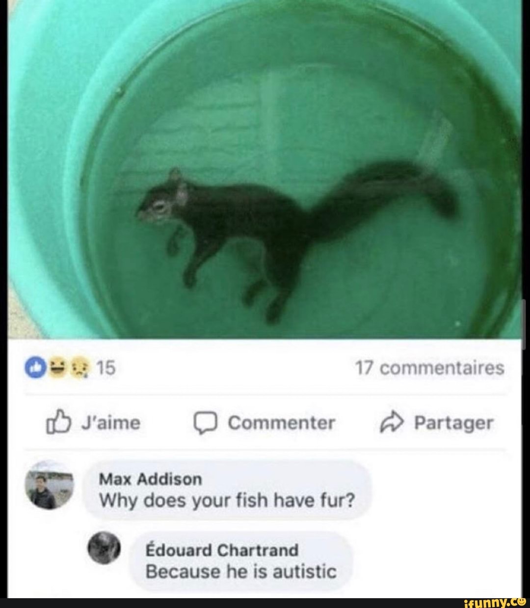 Max Addison Why does your fish have fur? Because he is autistic - iFunny