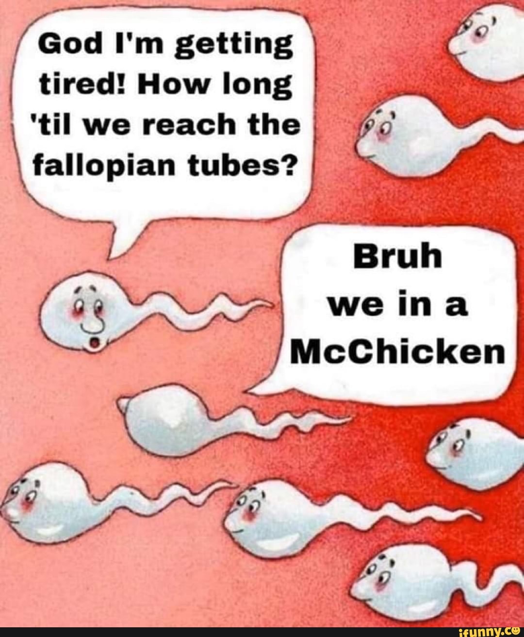Tired! How long "til we reach the I fallopian tubes? I - iFunny