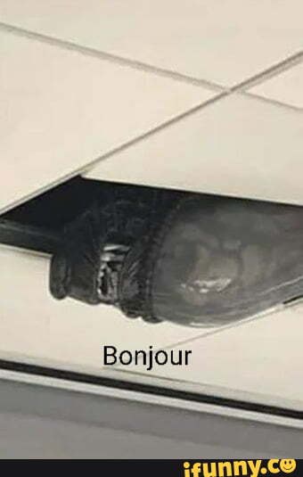 Alien_isolation memes. Best Collection of funny Alien_isolation ...