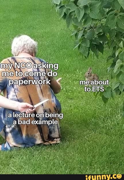 Toets memes. Best Collection of funny Toets pictures on iFunny