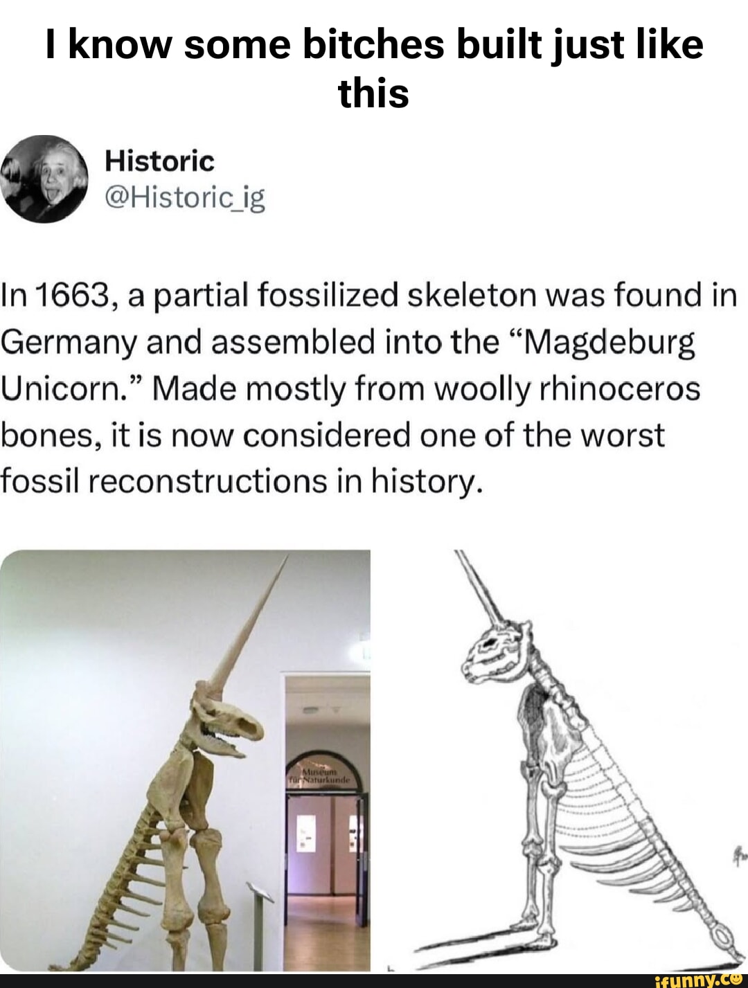 I know some bitches built just like this Historic @Historic ig In 1663 ...
