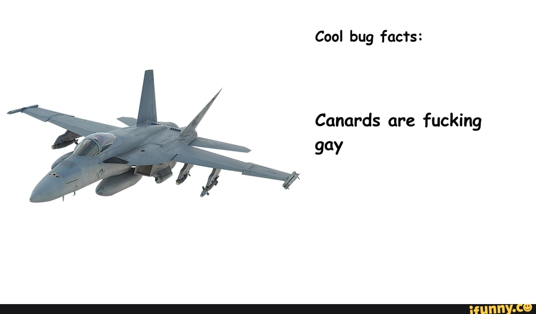 Canards memes. Best Collection of funny Canards pictures on iFunny