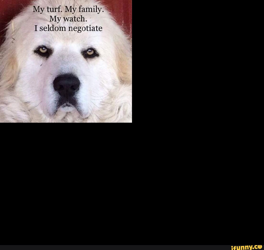 Turf memes. Best Collection of funny Turf pictures on iFunny