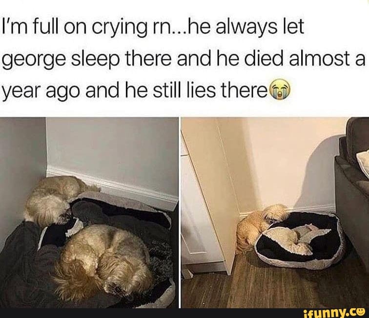 Icryeverytime memes. Best Collection of funny Icryeverytime pictures on ...