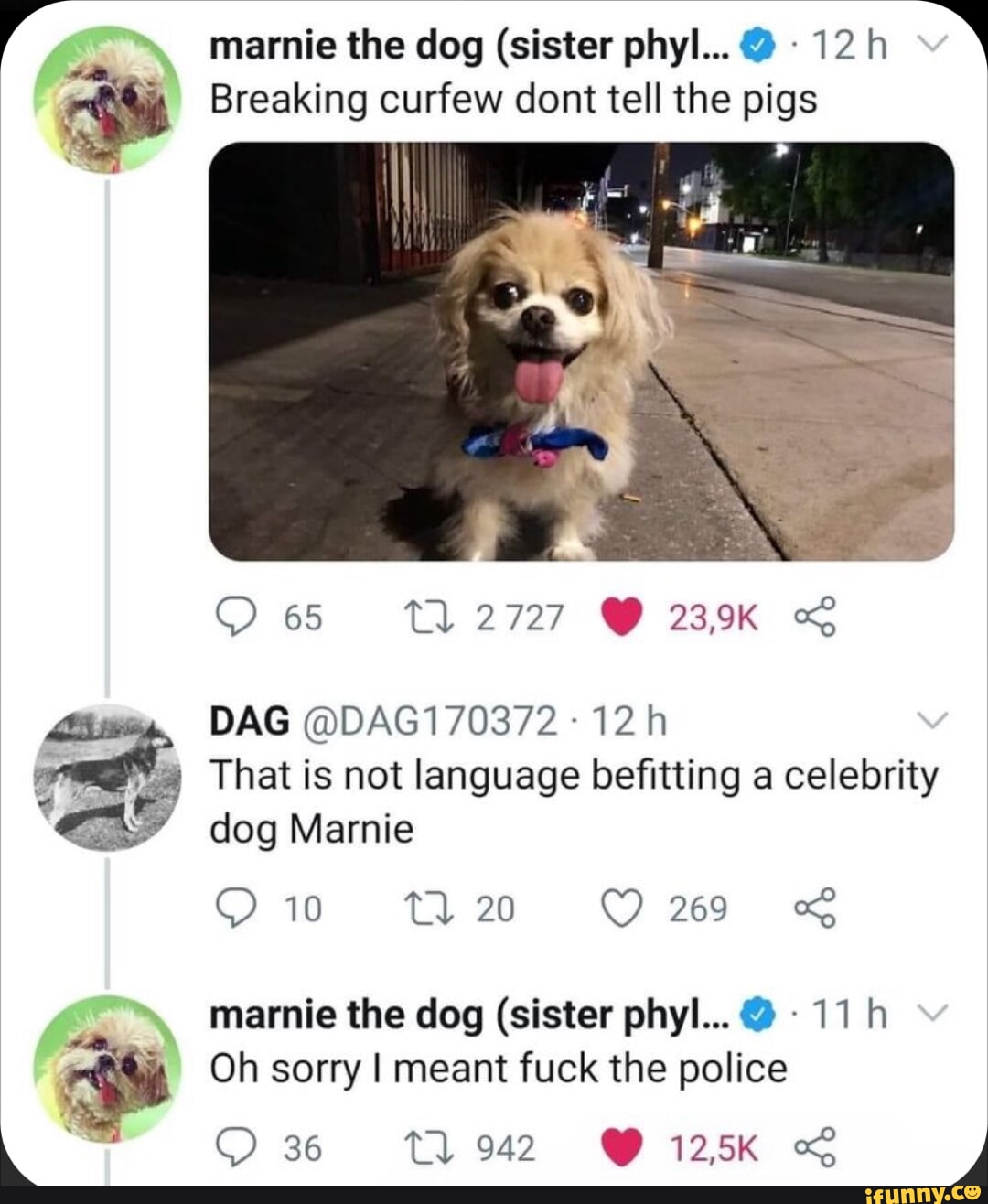 Marnie memes. Best Collection of funny Marnie pictures on iFunny