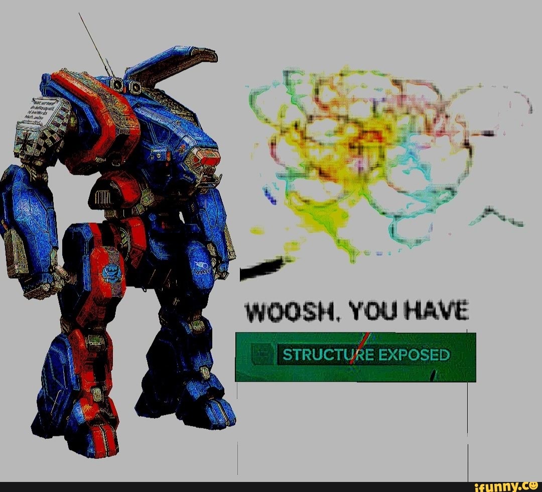 WOOSH, YOU HAVE STRUCTURE EXPOSED - iFunny