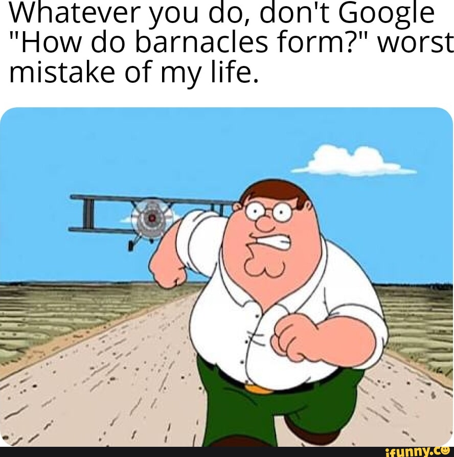 Barnacles memes. Best Collection of funny Barnacles pictures on iFunny