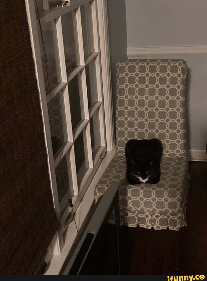 Cuboid memes. Best Collection of funny Cuboid pictures on iFunny