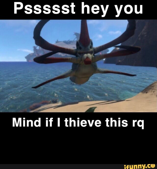 Pssssst hey you Mind if thieve this rq - iFunny