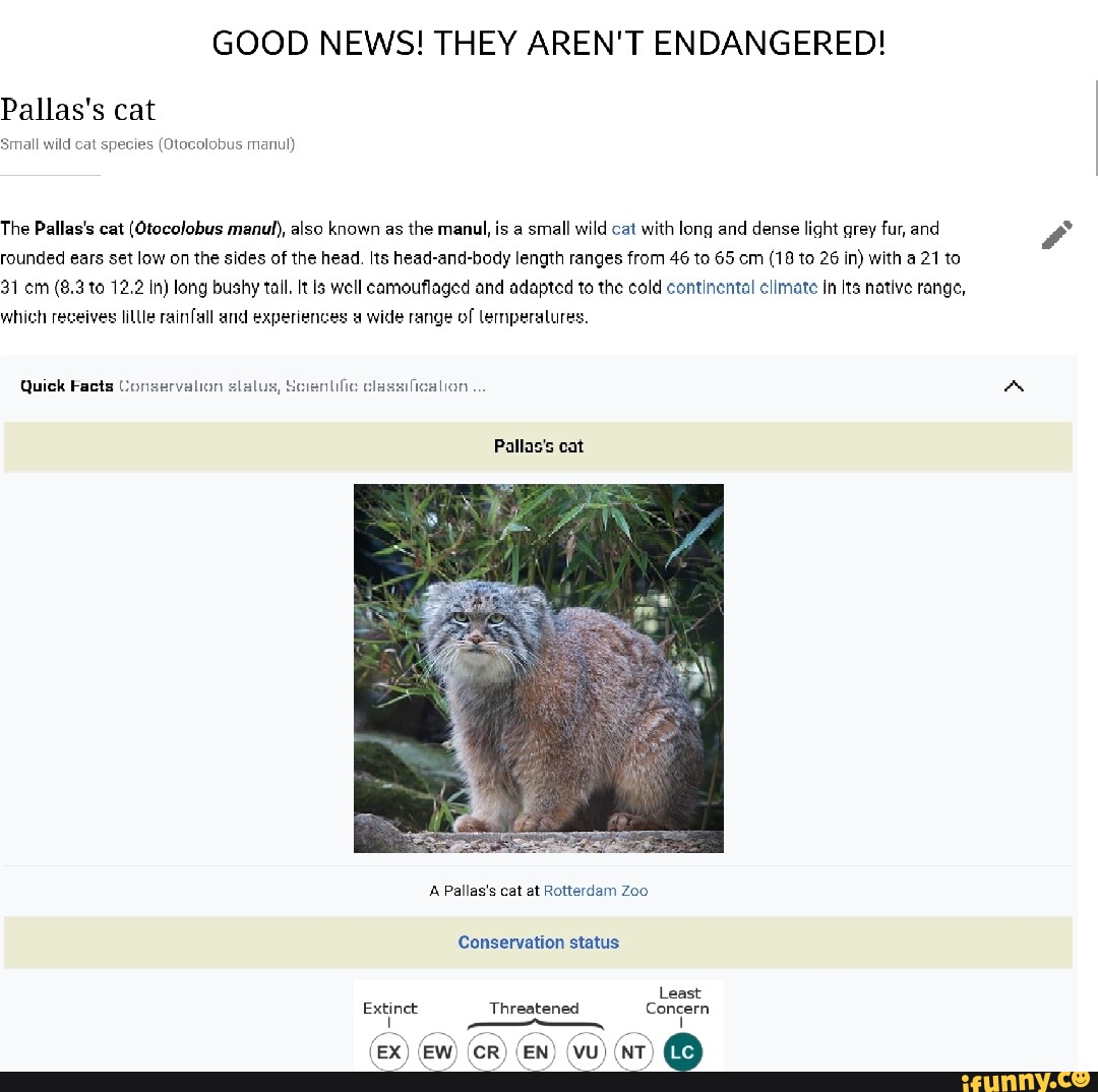 Rounded memes. Best Collection of funny Rounded pictures on iFunny