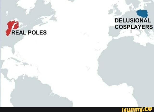 Delusional memes. Best Collection of funny Delusional pictures on iFunny