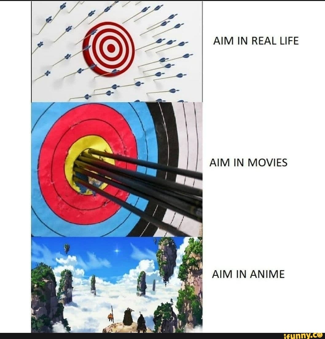 AIM IN REAL LIFE AIM IN MOVIES AIM IN ANIME - iFunny