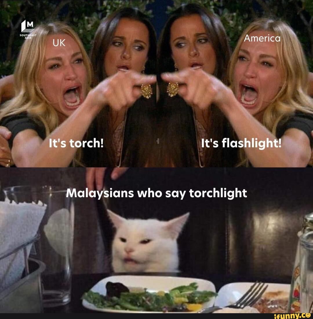 Torchlight memes. Best Collection of funny Torchlight pictures on iFunny