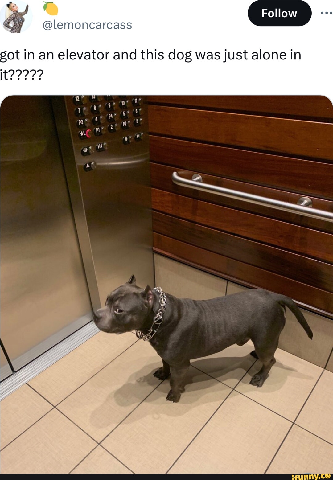 Picture memes xDk6J2puA by Lit_pics_and_vids - iFunny