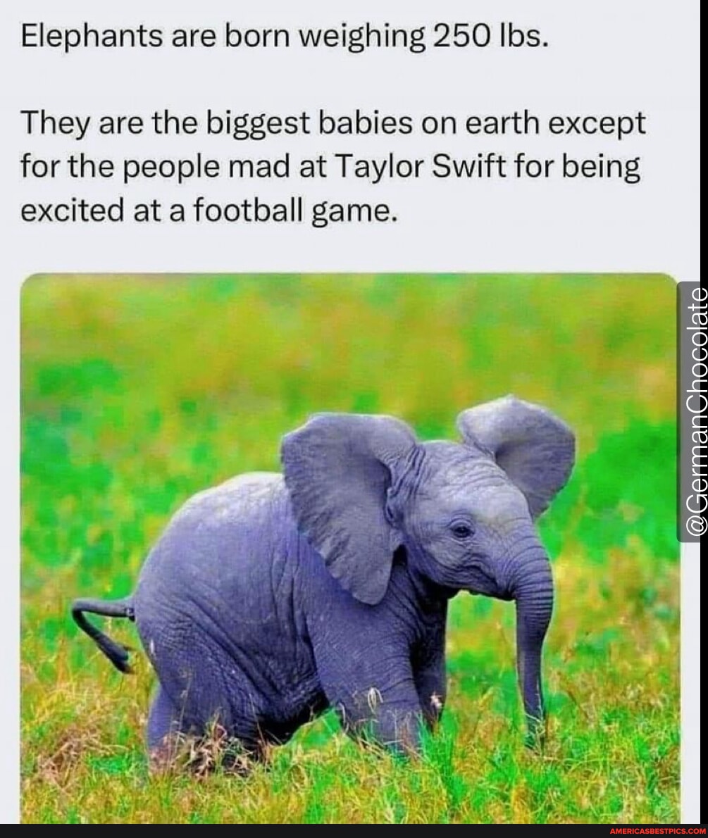 Elephants are born weighing 250 Ibs. They are the biggest babies on ...