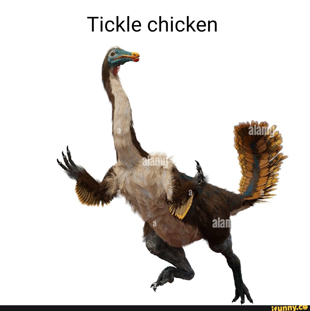Tickle chicken - iFunny