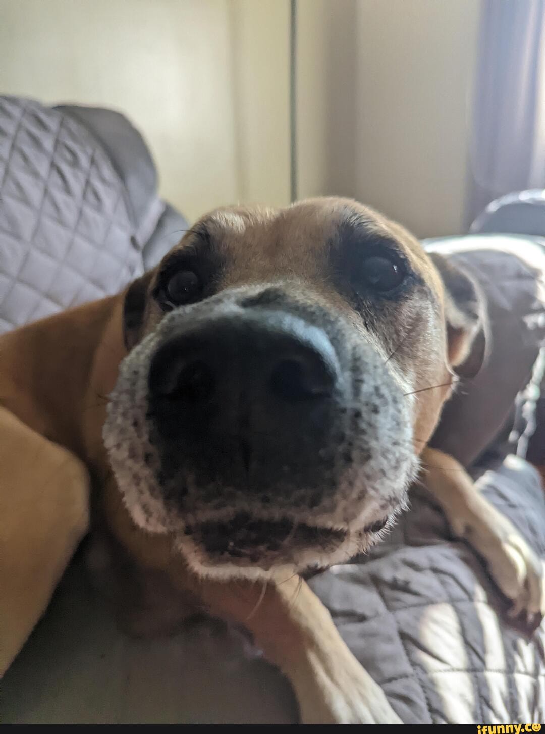 Cornbread_and_beans memes. Best Collection of funny Cornbread_and_beans ...