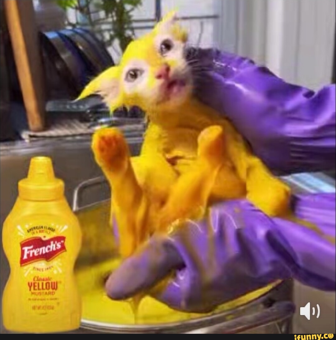 Condiments memes. Best Collection of funny Condiments pictures on iFunny