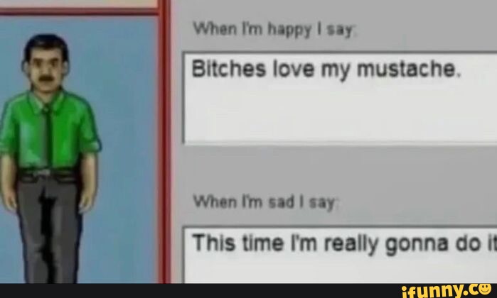 When I'm happy I say Bitches love my mustache, When I'm sad I say This time I'm really gonna do ...