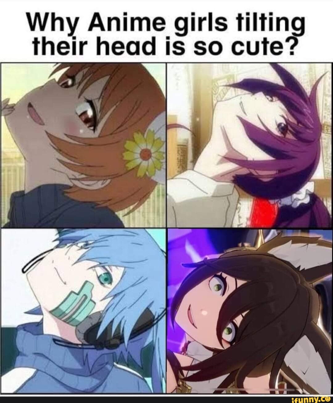 Why Anime girls tilting their head is so cute? - iFunny
